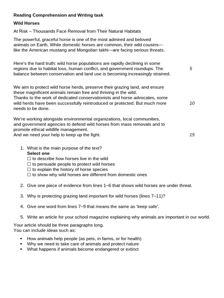 Reading Comprehension and Writing Task | PDF