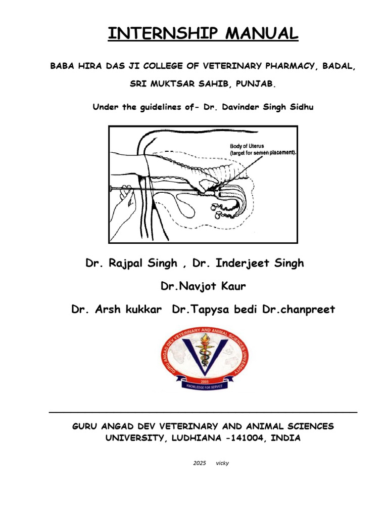 Intership Mannual | PDF