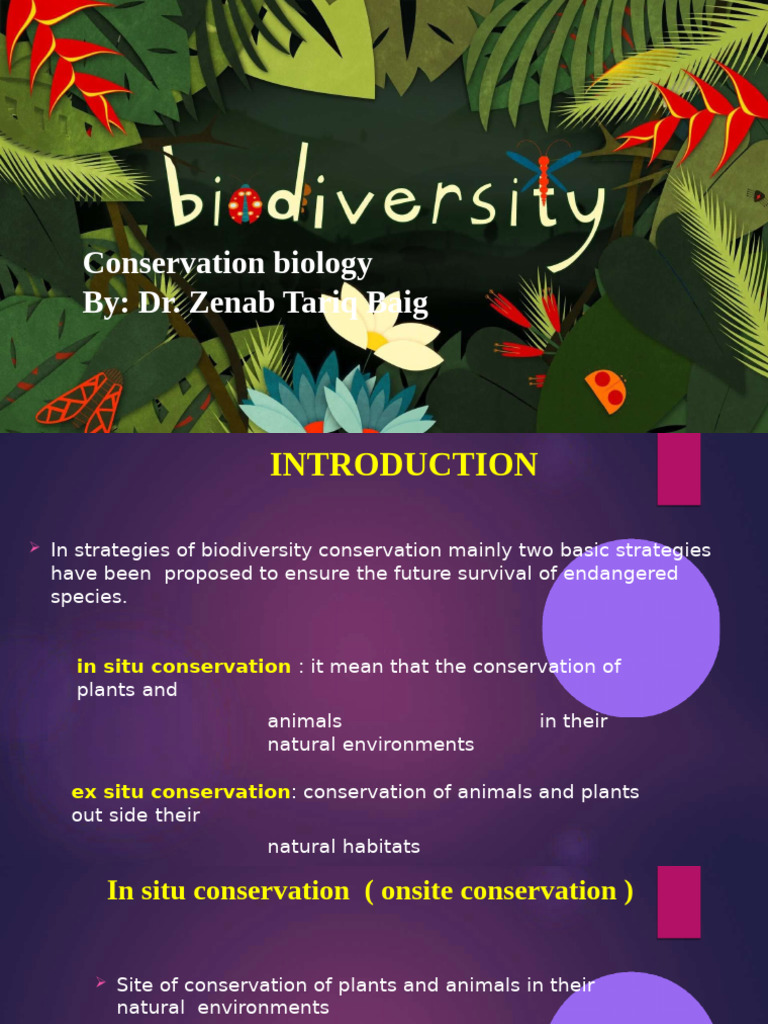 Types of Conservation | PDF | Wetland | Conservation Biology