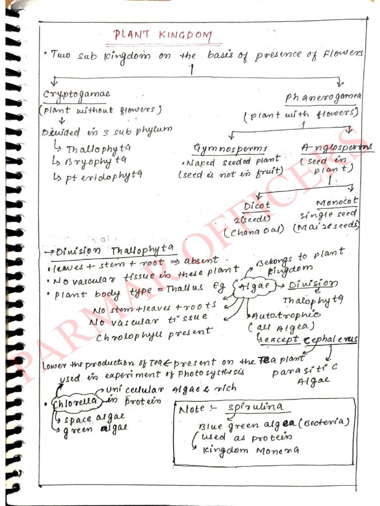 Science (Biology) Plant Kingdom Notes PDF (Admin) | PDF