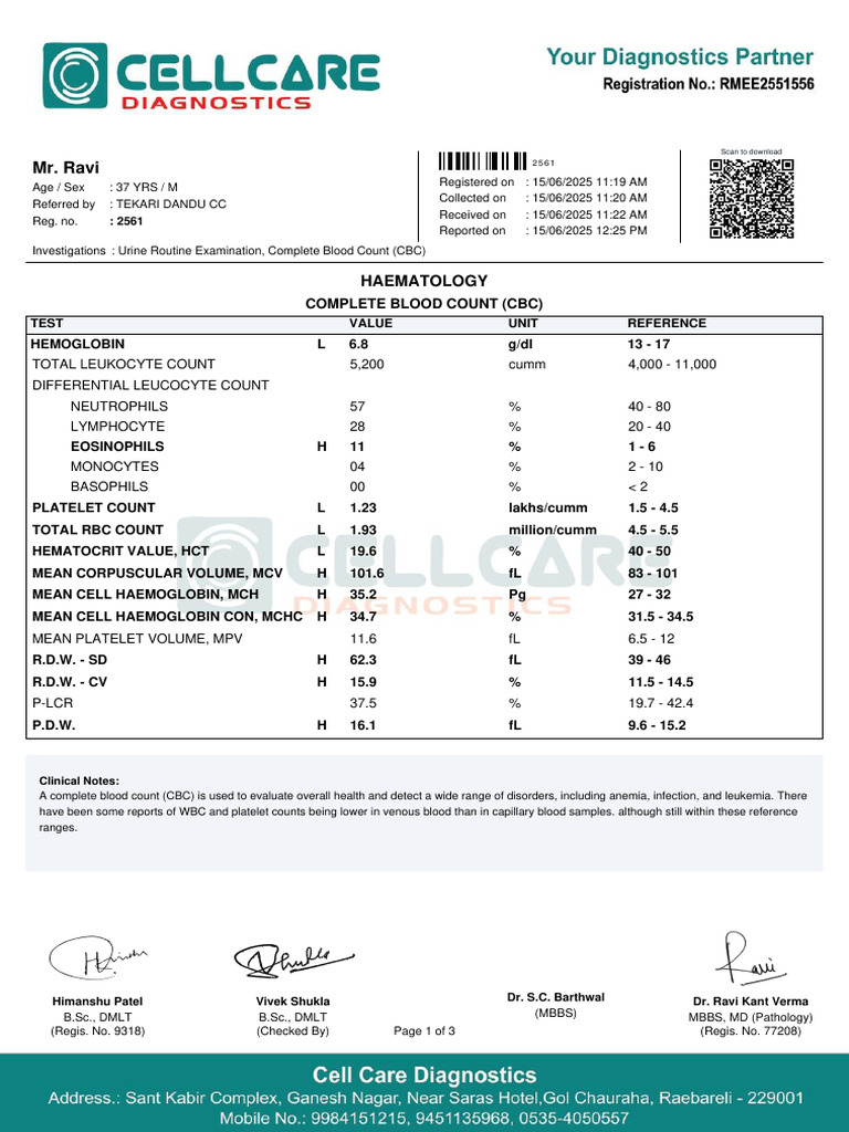 CBC and Urine Analysis Report for Mr. Ravi | PDF | White Blood Cell ...