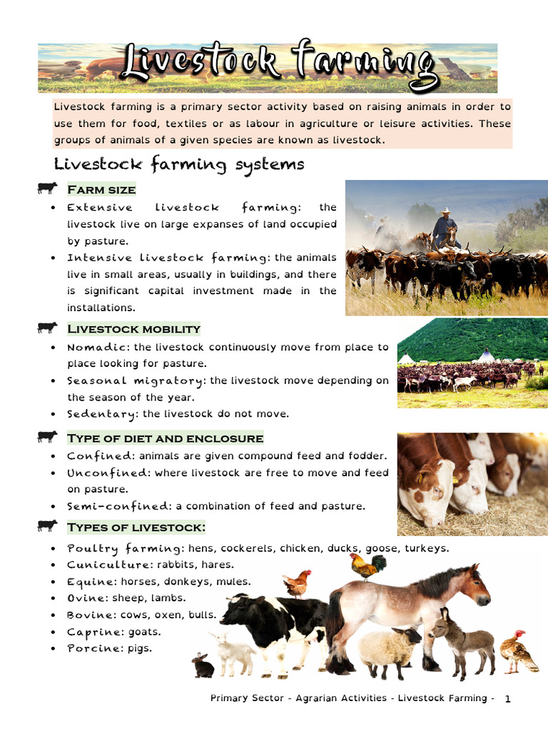Livestock Farming: Types and Practices | PDF | Livestock | Agriculture