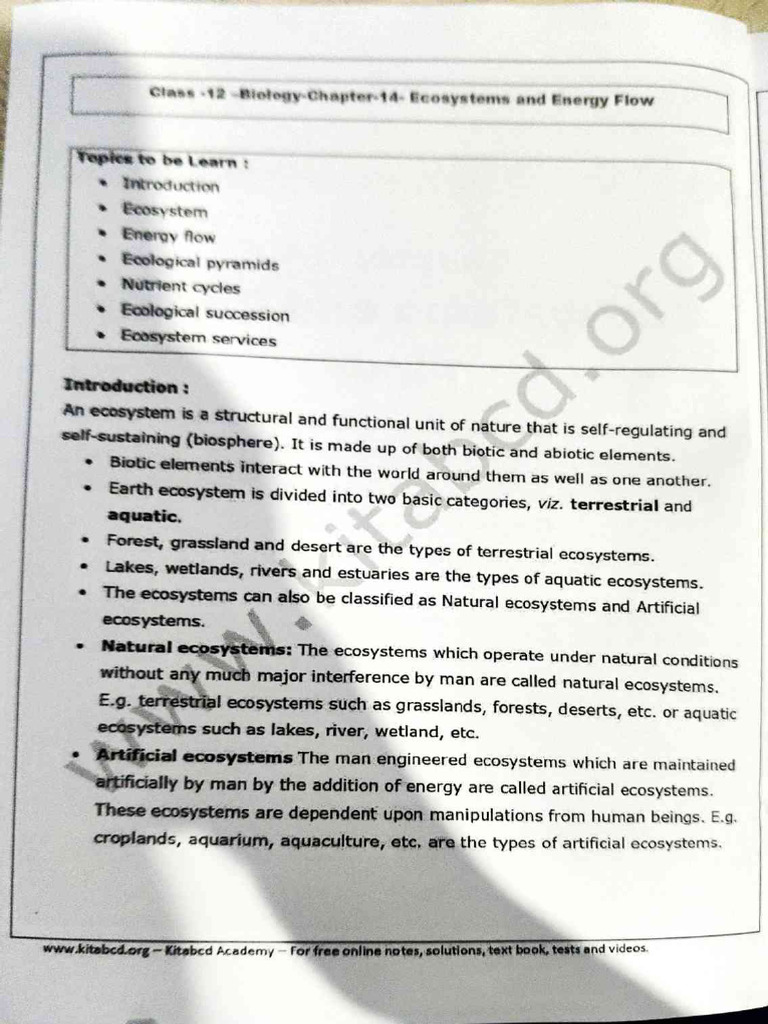 14 - Ecosystems and Energy Flow (Biology) | PDF | Food Web | Ecosystem