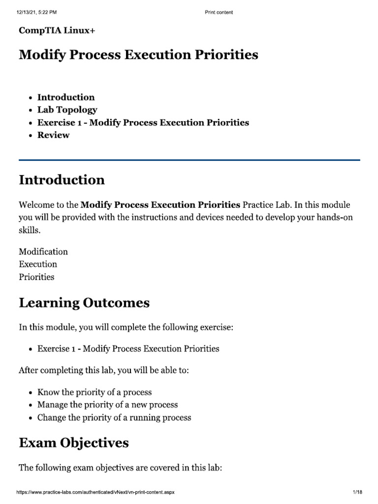 Modify Process Execution Priorities | PDF