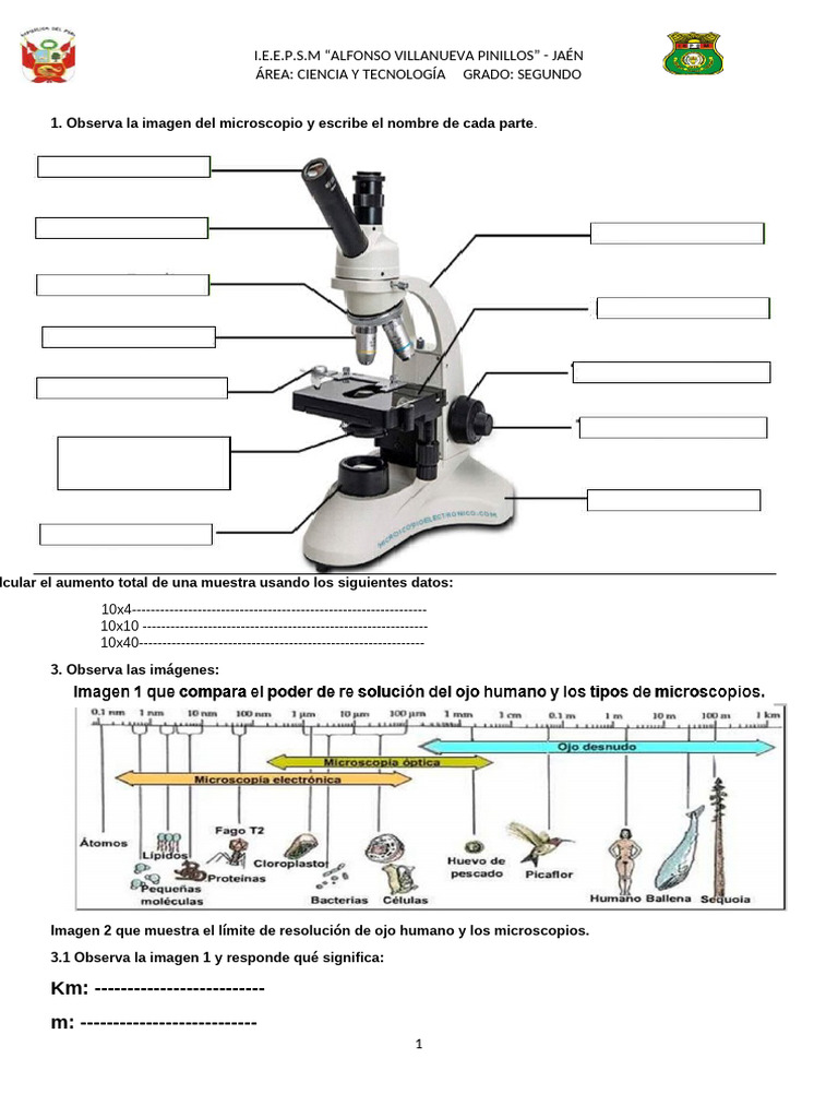 Ficha 17 - Práctica Sobre El Microscopio | PDF