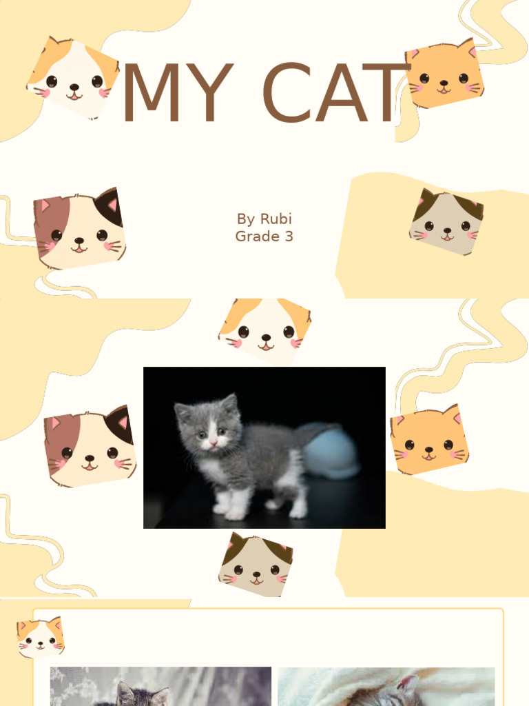 My Cat | PDF