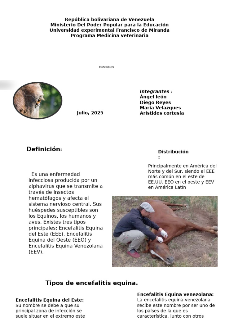 Tratamiento y Prevención de Encefalitis Equina | PDF | Neurología ...