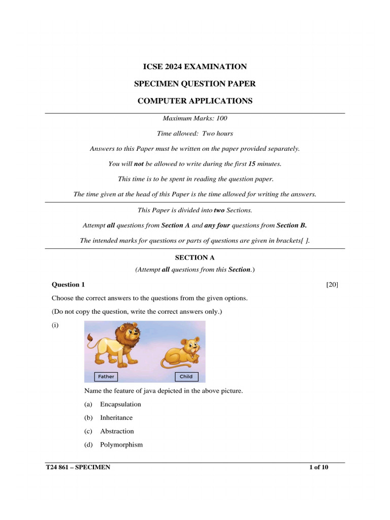 ICSE Class X Computer Specimen Paper | PDF