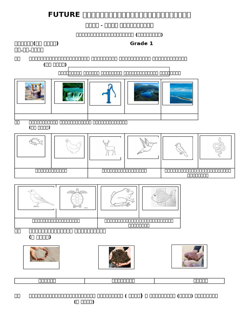 Grade 1 For Science17 | PDF