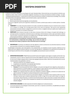 Disección del Muslo de Pollo: Anatomía y Función | PDF | Articulación ...