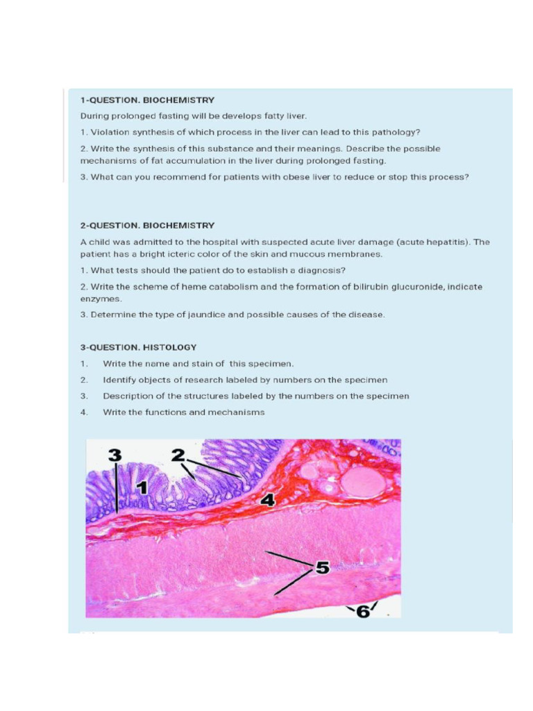 Nutrition and Absorption | PDF | Pancreas | Glycolysis