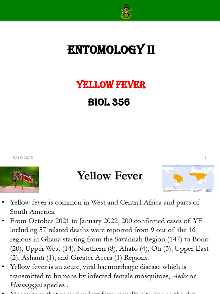 Understanding Yellow Fever in Ghana | PDF | Yellow Fever | Virus