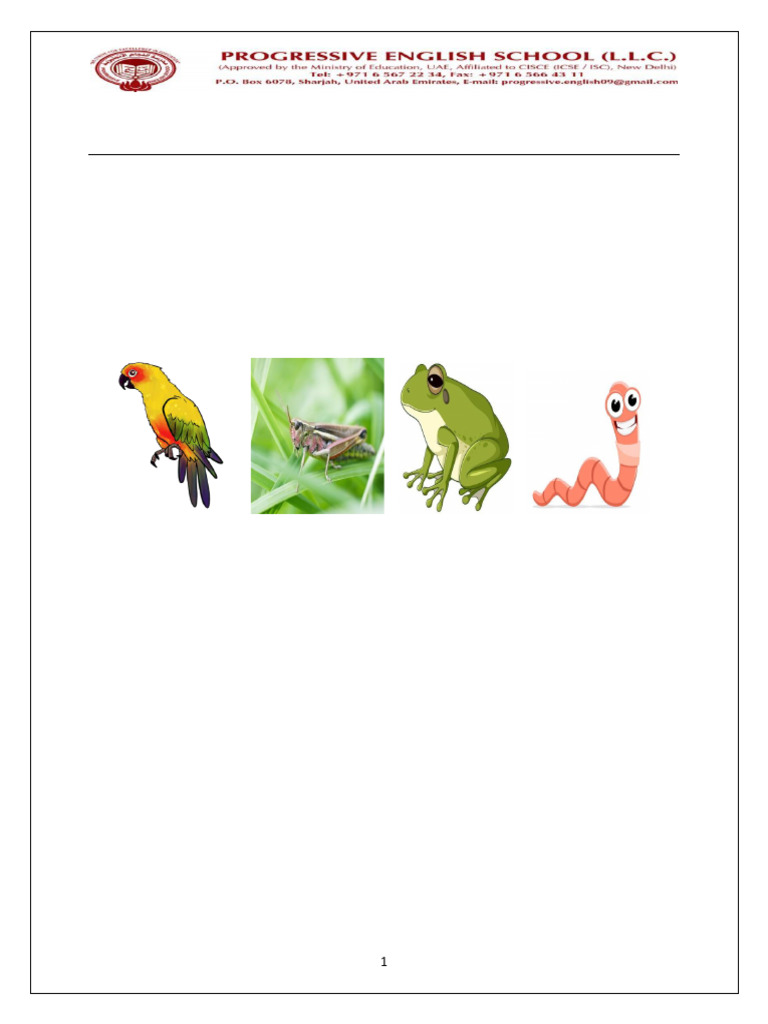 Science-Class 8-Asset Practice Questions | PDF | Water | Pancreas