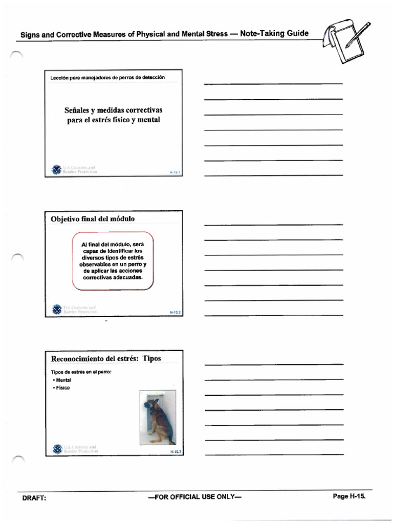 cbp8 241028 082805 | PDF