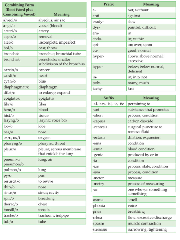 CH 7 Medical Terminology | PDF
