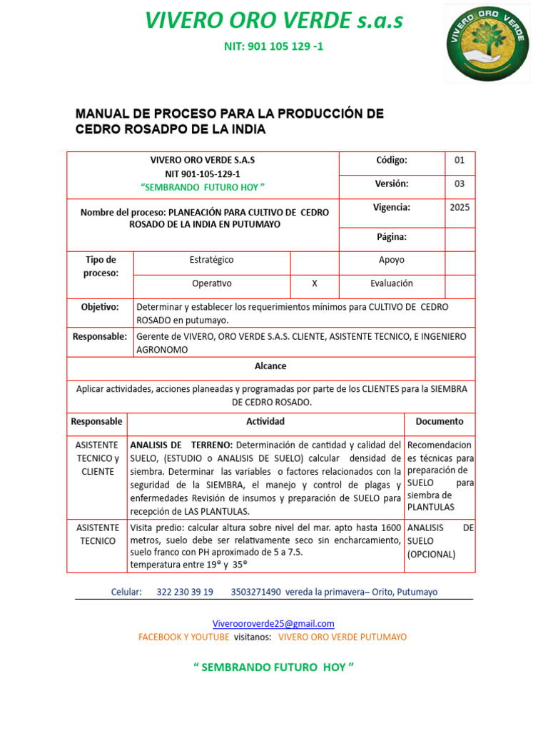 Manual de Procesos Cultivo Cedro | PDF | Suelo | Fertilizante