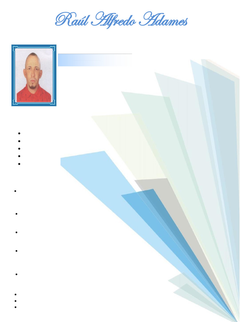 Raúl Alfredo Adames Curriculum | PDF