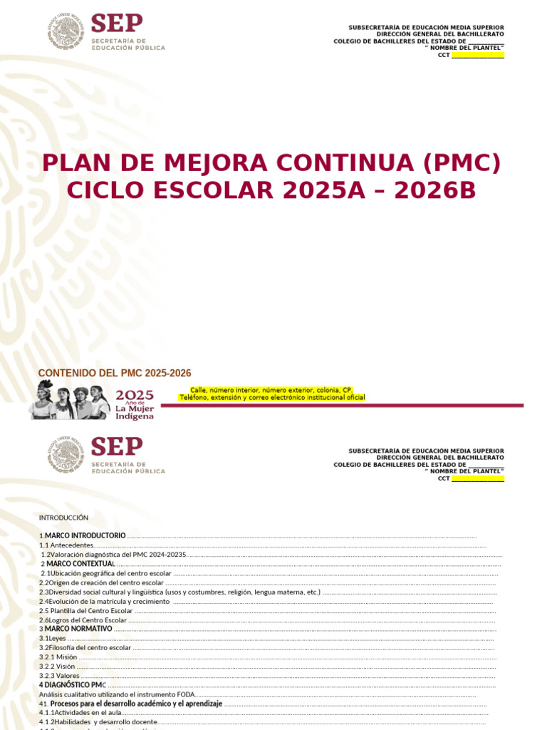 Formato PMC 2025-2026 | PDF | Educación Secundaria | Juventud