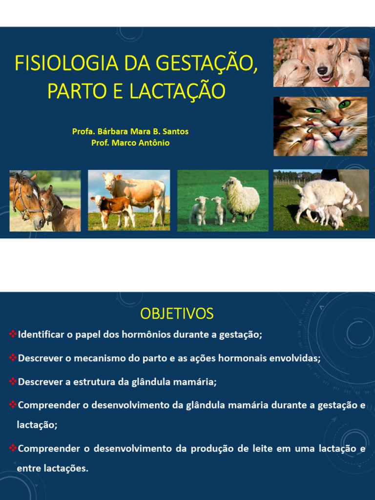 Fisiologia Da Gestação, Parto e Lactação | PDF | Lactação | Amamentação
