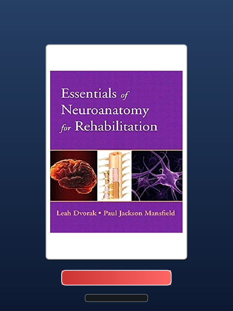 Essentials of Neuroanatomy For Rehabilitation Test Bank Available ...