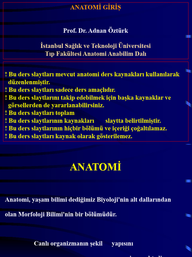 1) Diş102 Anatomi-Giriş 23-4 | PDF