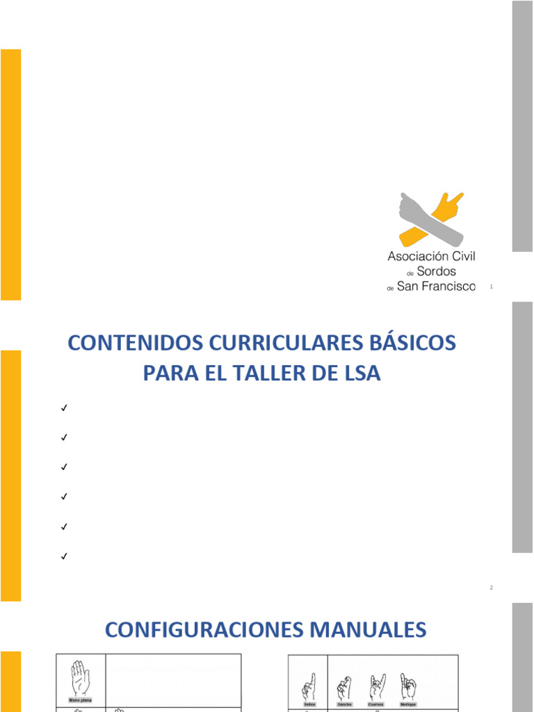 Manual Lsa 2025 | PDF | Expresión facial
