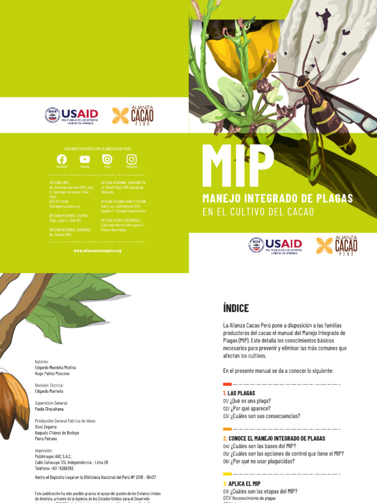 Manual MIP | PDF