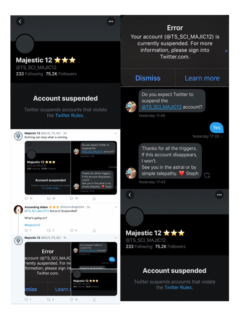 Majestic 12 Tweets New Account | PDF