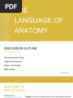 Topographic Anatomy Overview | PDF | Anatomical Terms Of Motion ...
