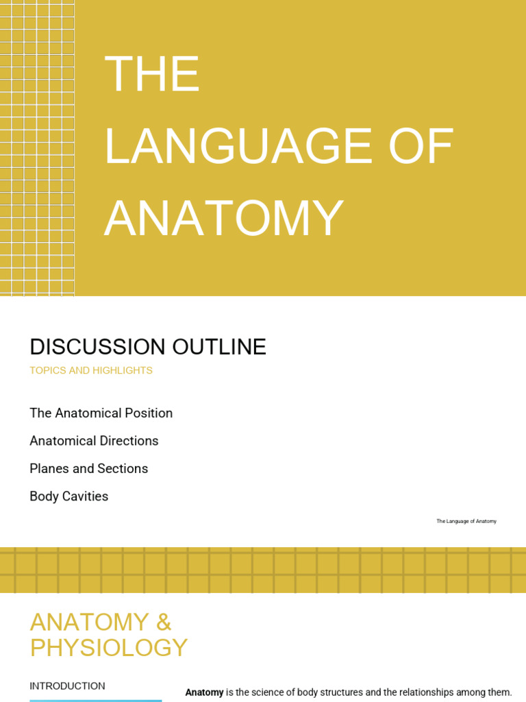 MT13 1 The Language of Anatomy | PDF | Anatomical Terms Of Location ...