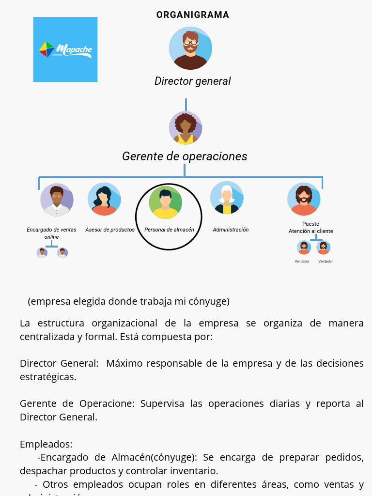 Grafico Organigrama Gratis Empresa Ilustracion Moderno Celeste ...