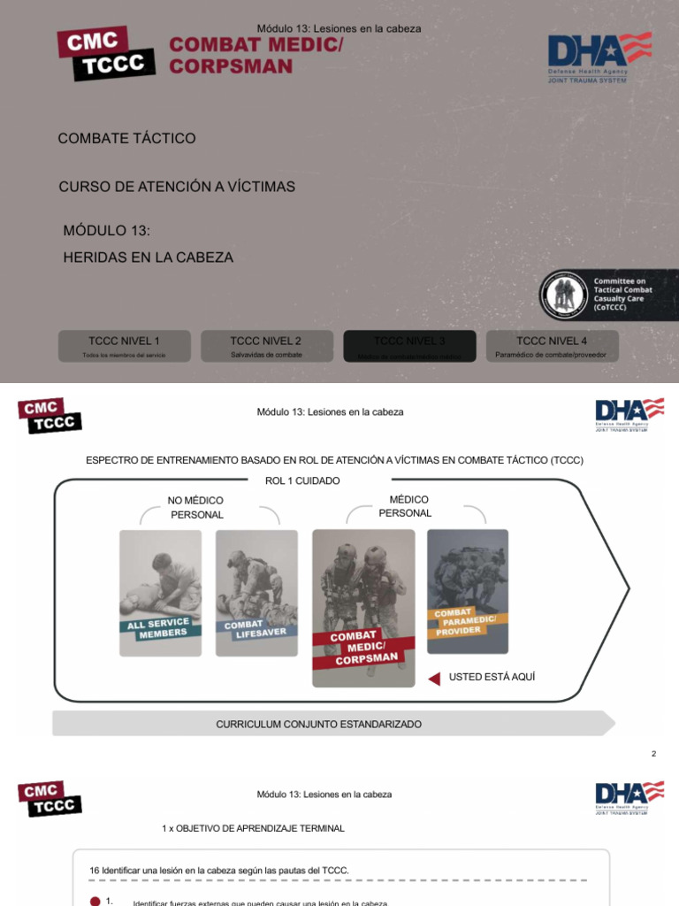 Tce - Es | PDF | Lesión cerebral traumática | Medicina CLINICA