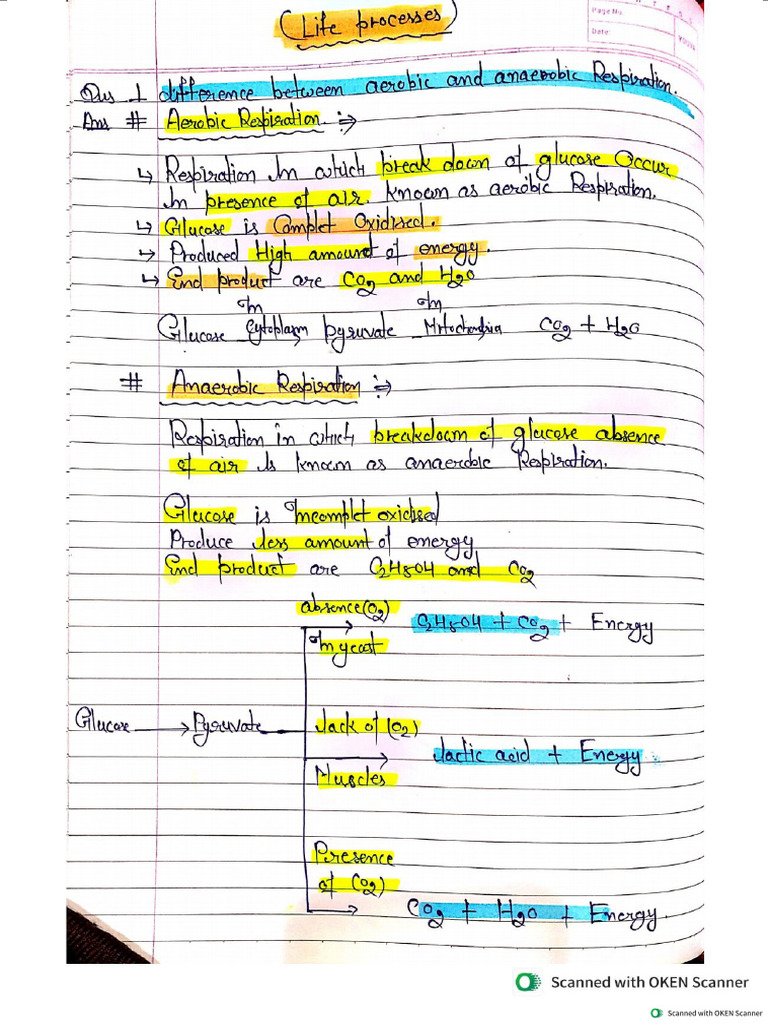 10th Class Important Question Life Process | PDF