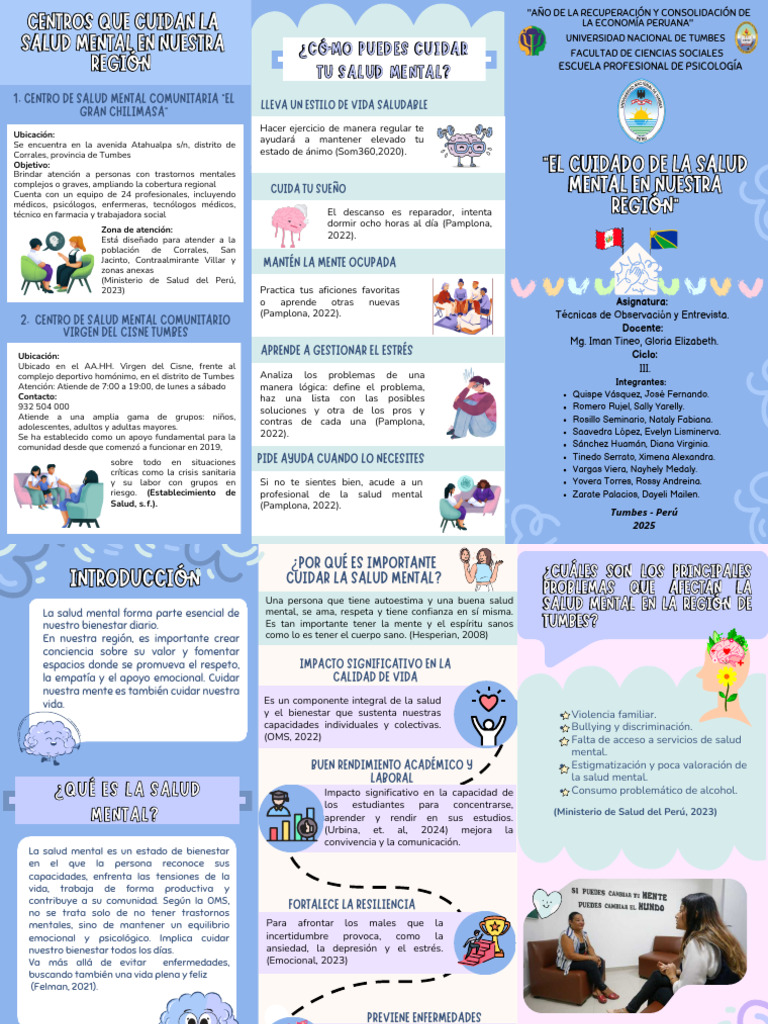 El Cuidado de La Salud Mental en Nuestra Región | PDF | Salud mental ...