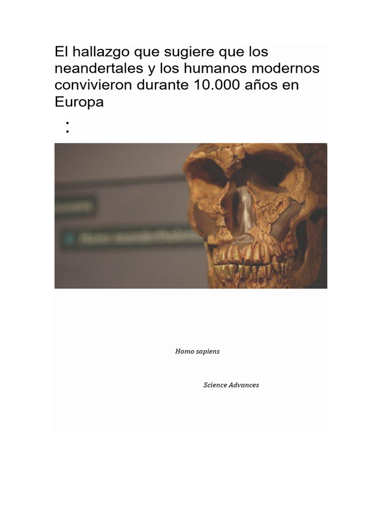 El Hallazgo Que Sugiere Que Los Neandertales y Los Humanos Modernos ...