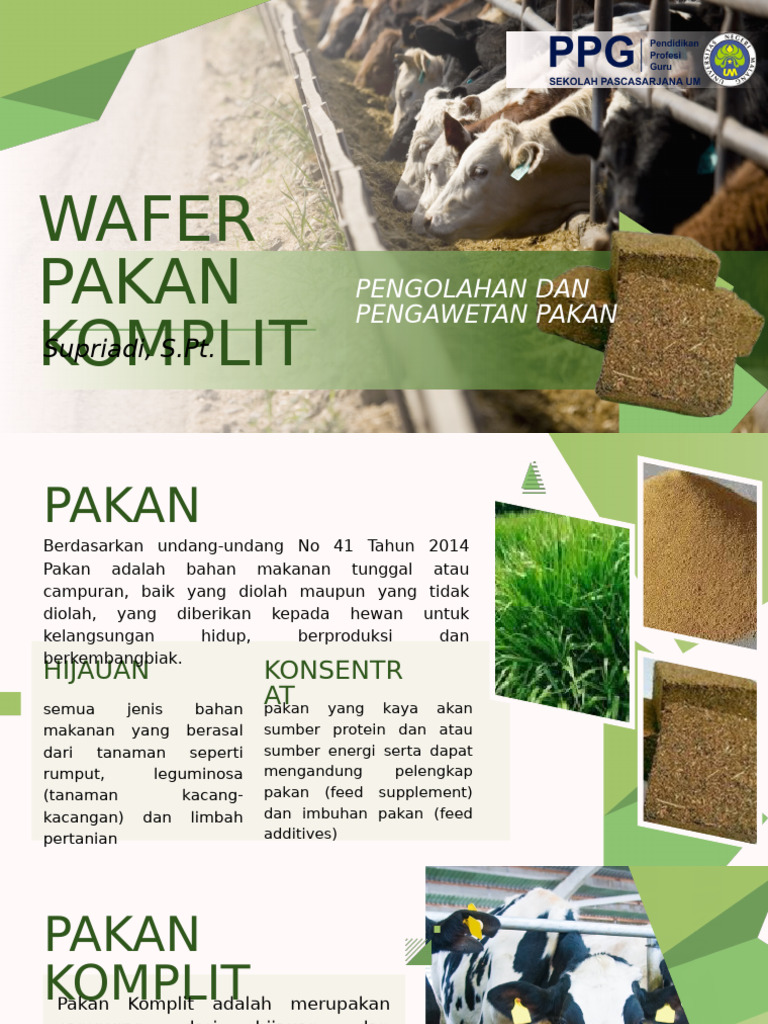 Wafer Pakan Komplit untuk Ternak | PDF