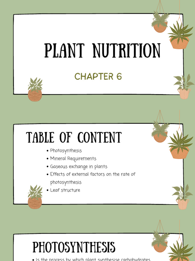 Chapter 6 - Plant Nutrition | PDF | Photosynthesis | Leaf