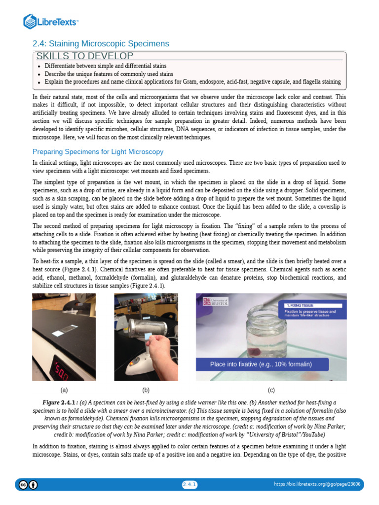 2.4 Staining Microscopic Specimens | PDF | Staining | Fixation (Histology)