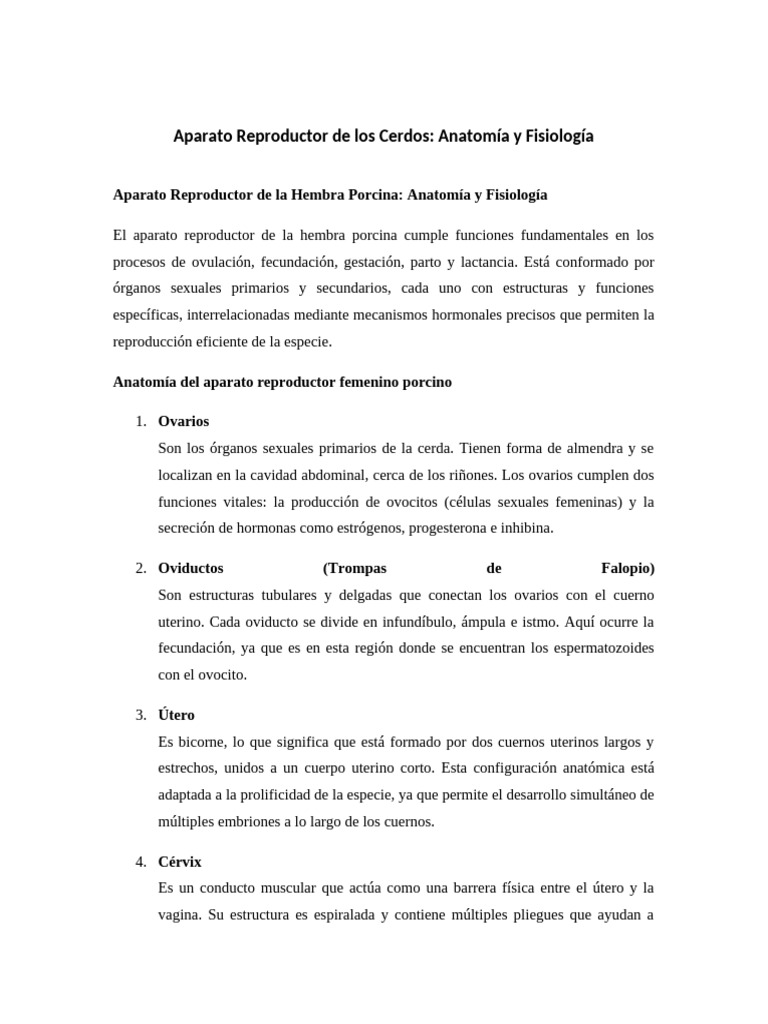 Aparato Reproductor Del Cerdo | PDF | Sistema reproductivo | Hormona ...