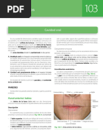 Región Labial de La Cara. | PDF | Labio | Anatomía humana