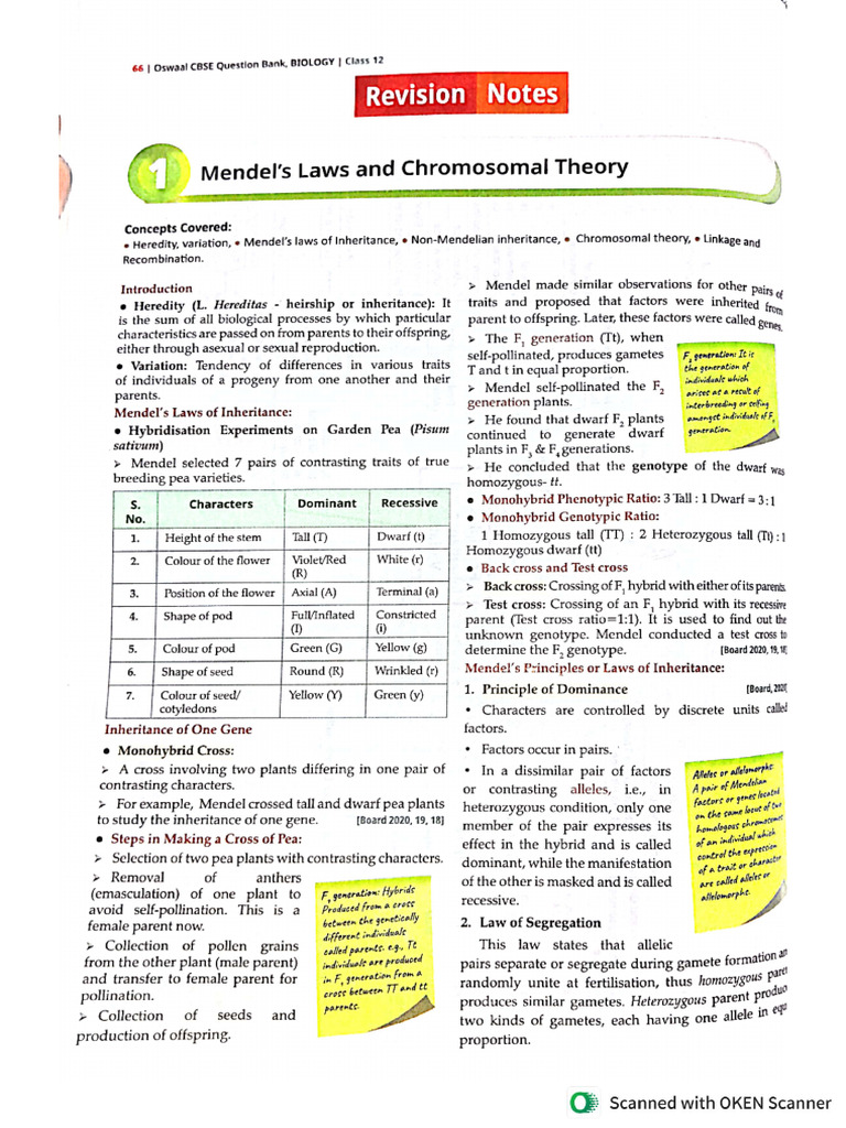 Revision Notes - Genetics | PDF