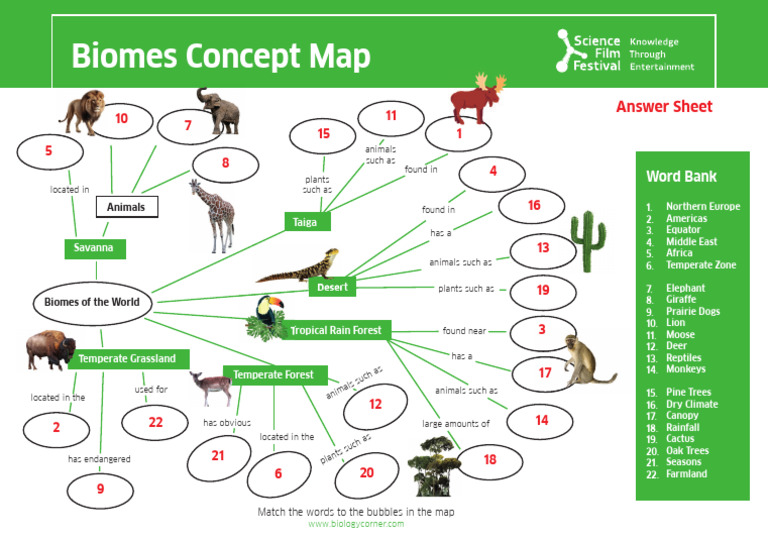 Biomes Concept Map Answer Key | PDF | Forests | Savanna