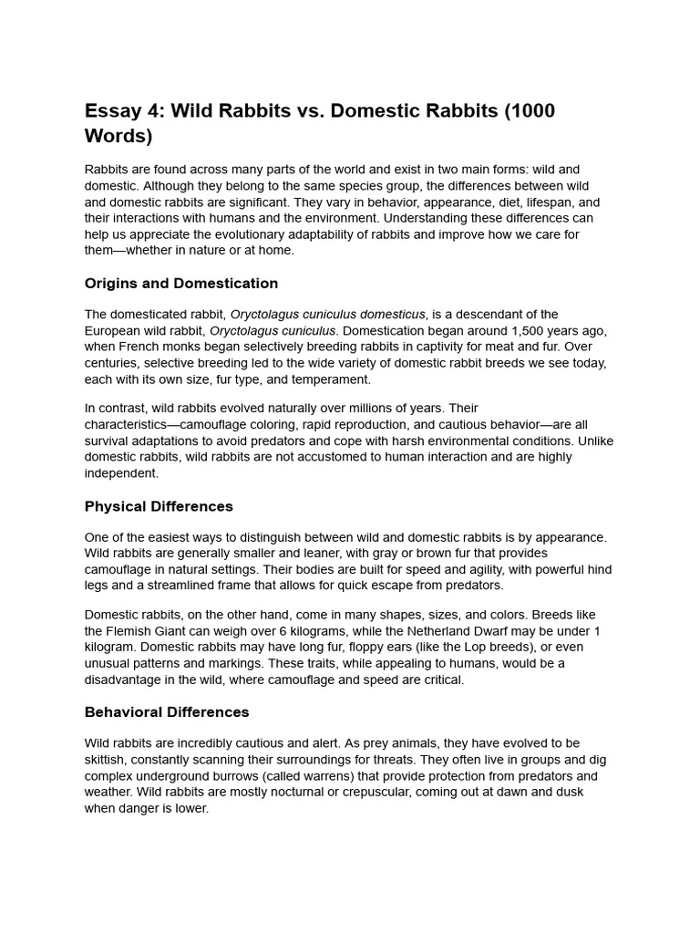 Essay 4 - Wild Rabbits Vs | PDF | Rabbit | Predation
