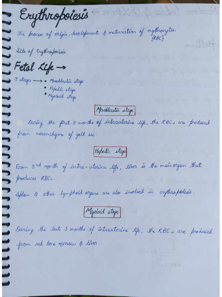 Ery Thro Poes Is | PDF