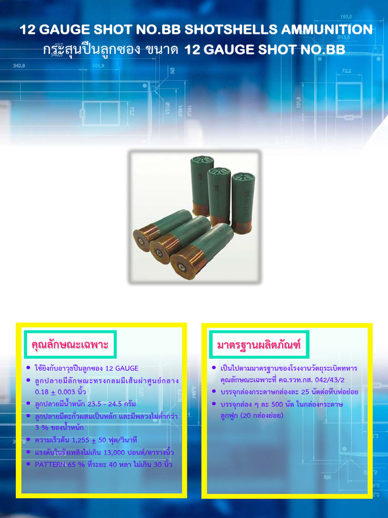 11 12 Gauge Shot No BB | PDF