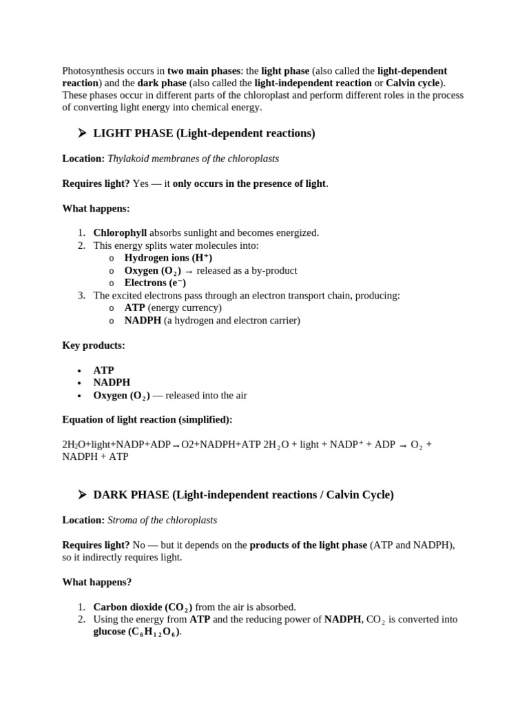 Photosynthesis Light and Dark Phase | PDF