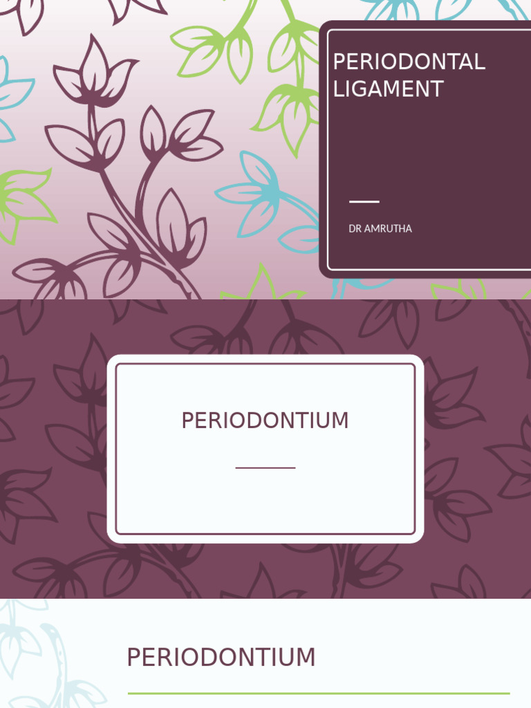 Periodontal Ligament. | PDF | Human Tooth | Histology