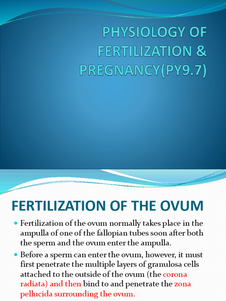 72 Physiology of Fertilization & Pregnancy | PDF | Menstrual Cycle | Uterus
