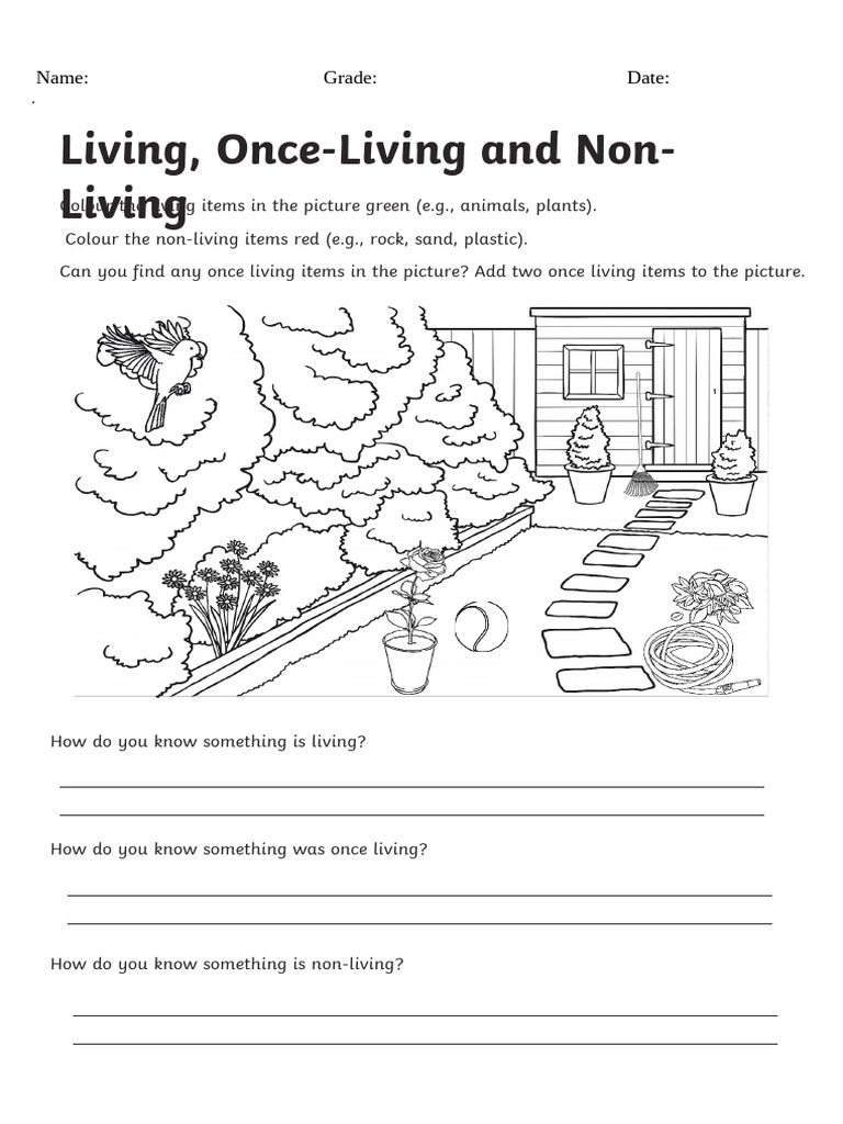 Living Once Living and Non Living Worksheet | PDF