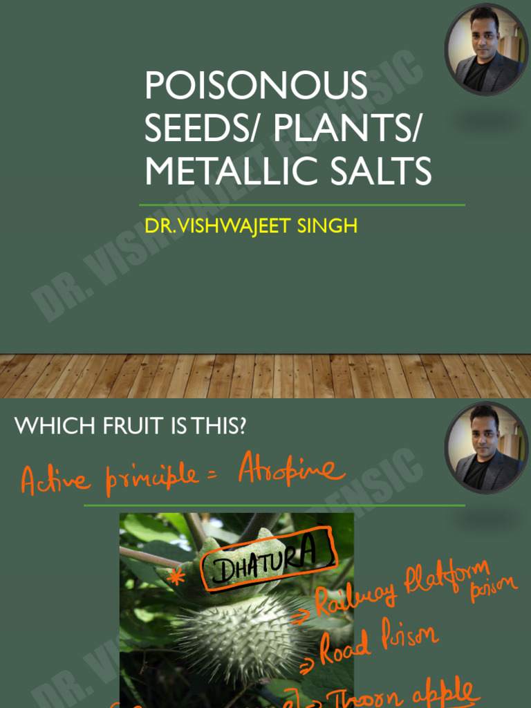 Poisonous SEEDS + PLANT+ SALT - C | PDF | Seed